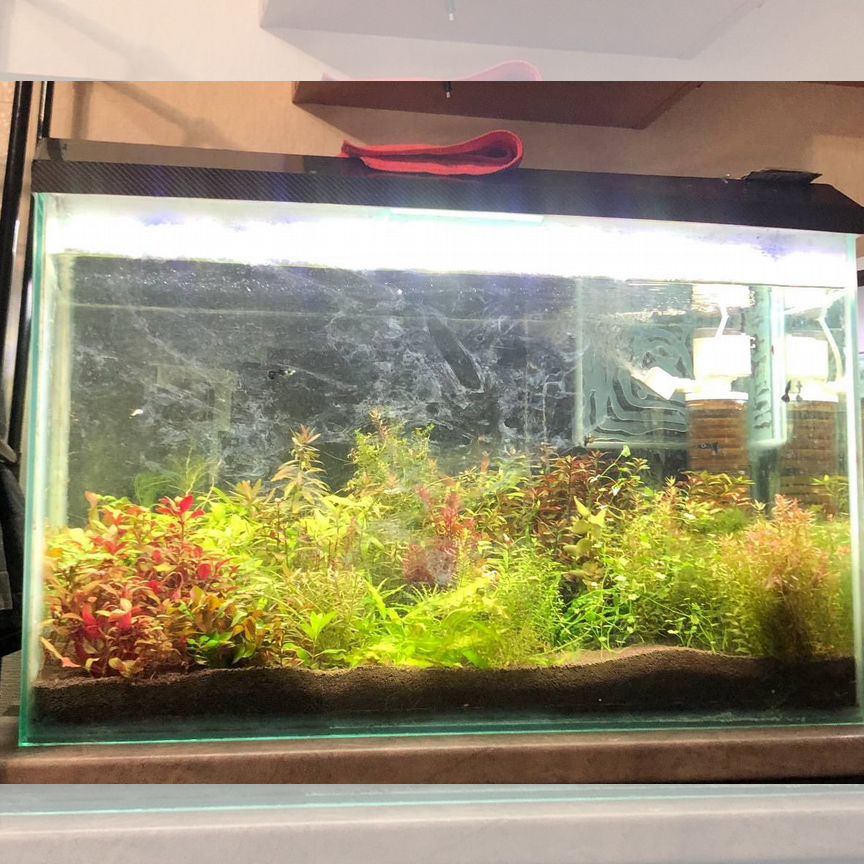 Аквариум 140 литров