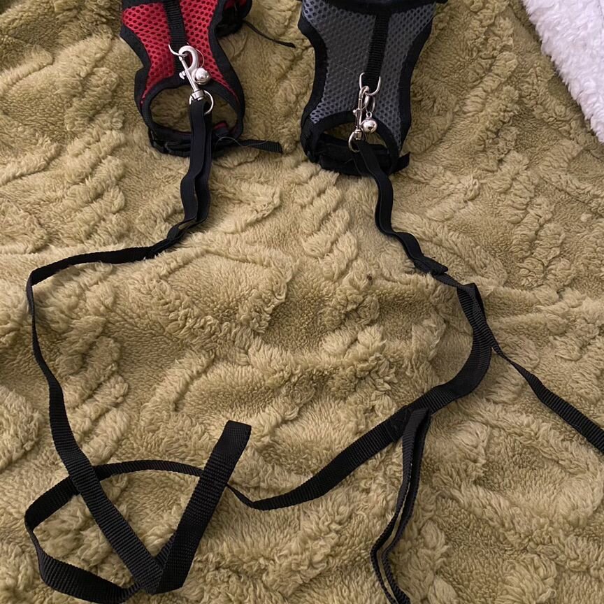 Шлейки для хорька и некрупных грызунов