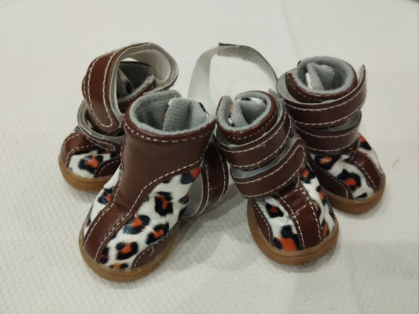 Одежда для маленьких собак