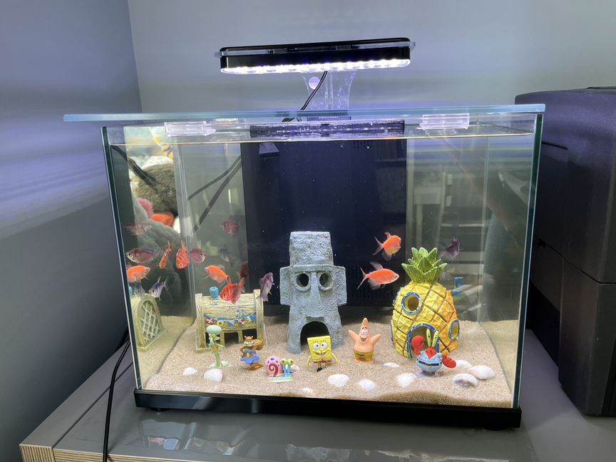 Детский аквариум с рыбками