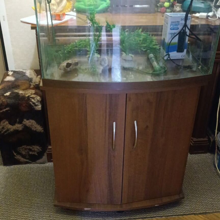 Аквариум панорамный на 100 литров с тумбой