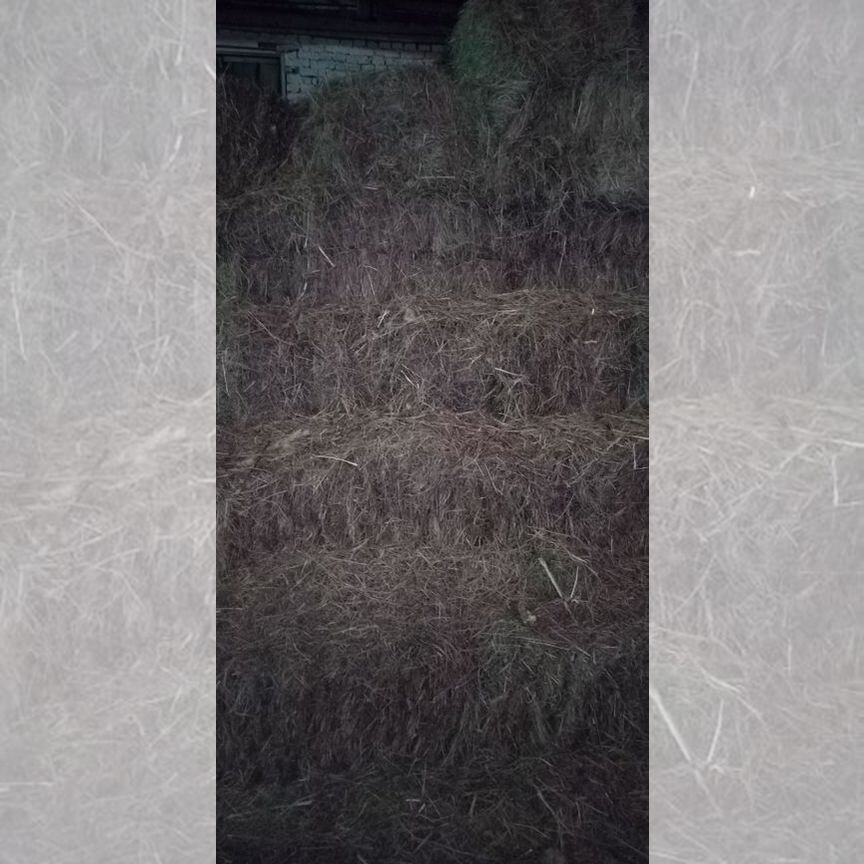Сено в тюках
