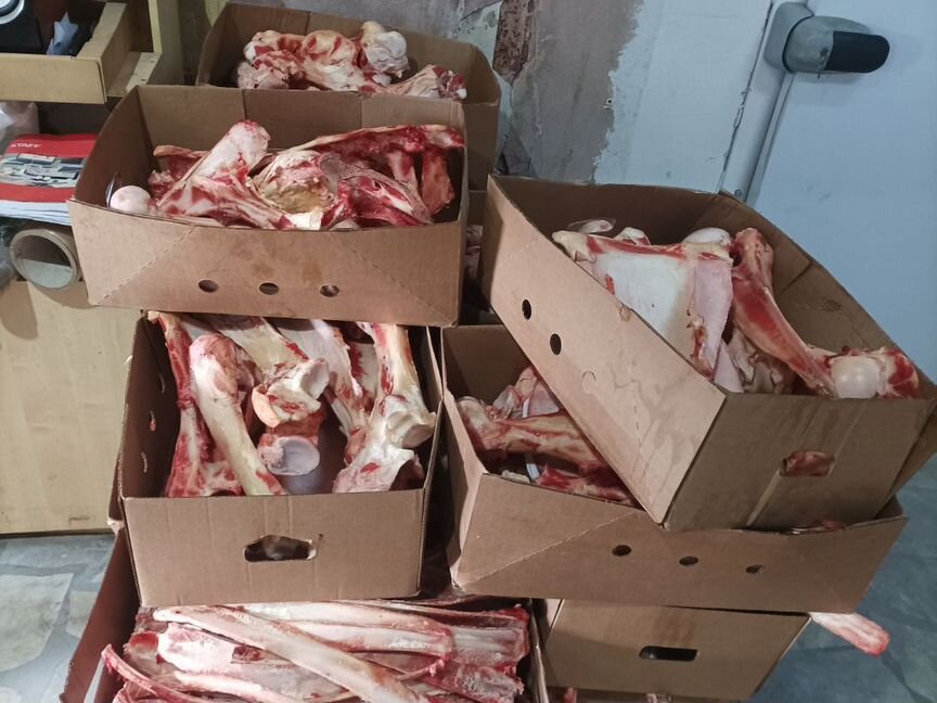 Кости говядина