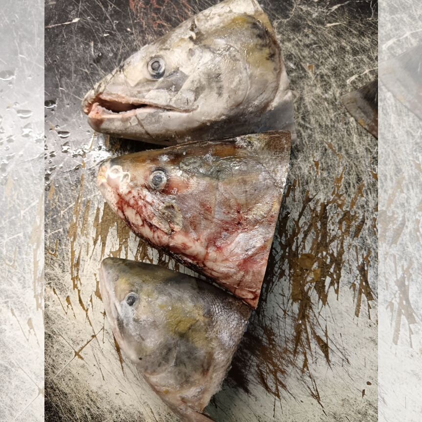 Продукты питания на корм животным