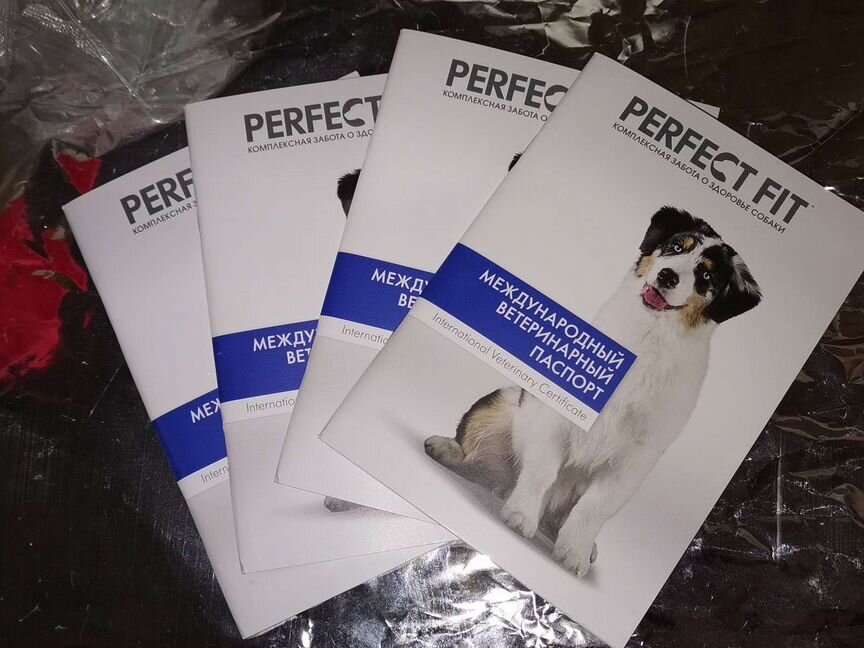 Ветеринарный паспорт для собак
