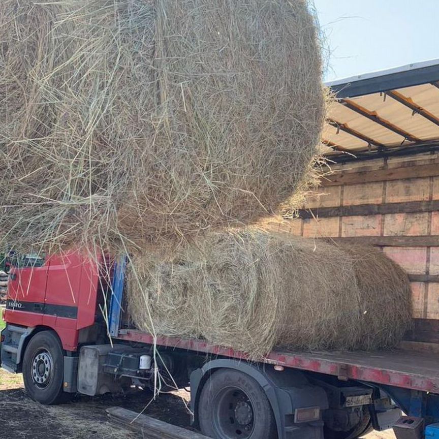 Сено в рулонах