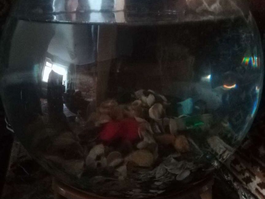 Круглый Аквариум