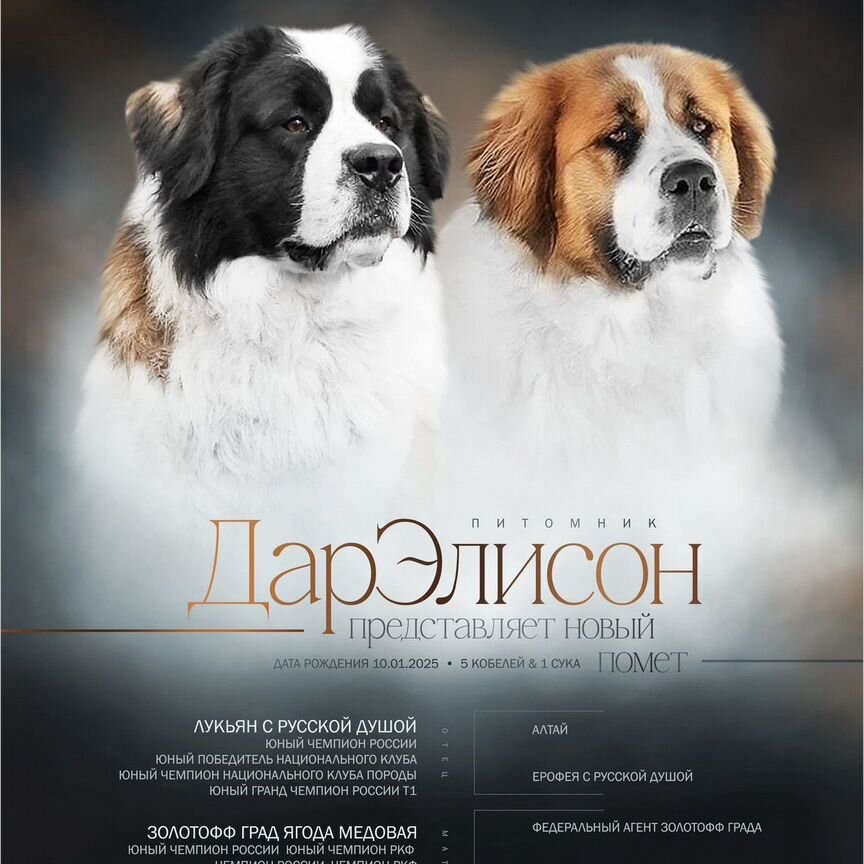 Московская Сторожевая