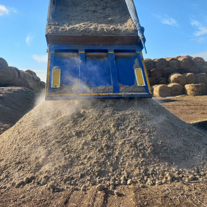 Жом свекловичный