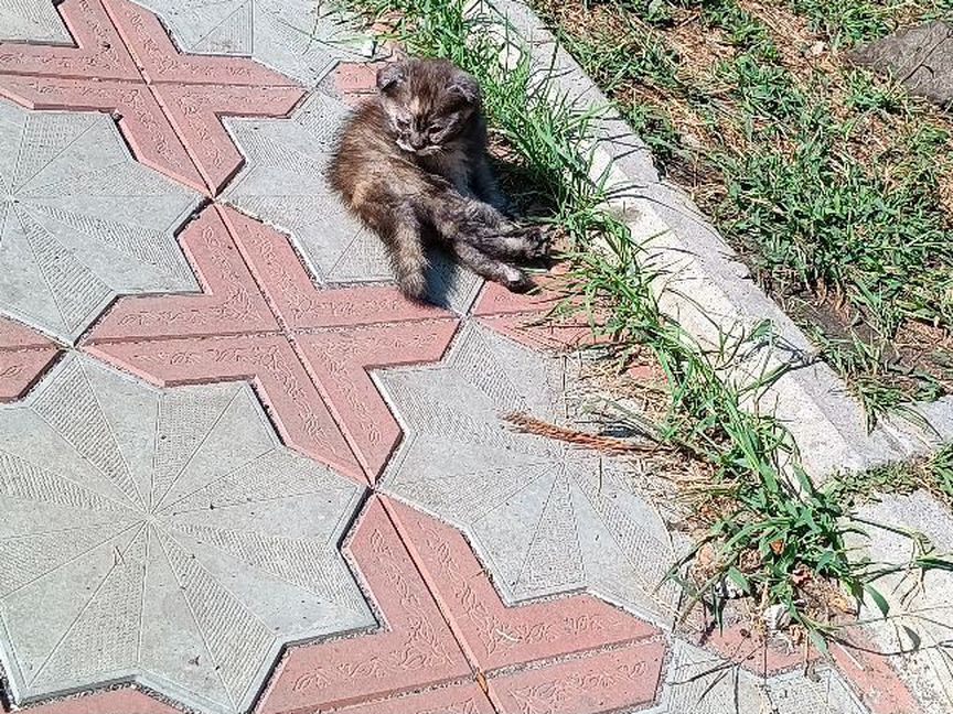 Плитка тротуарная