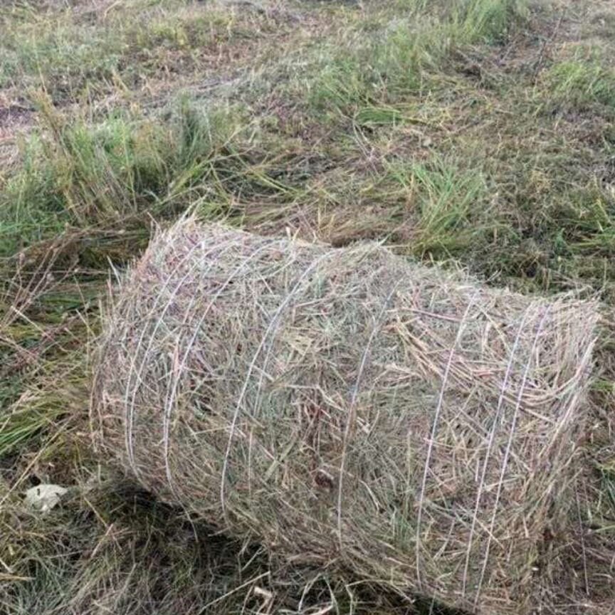 Сено в рулонах