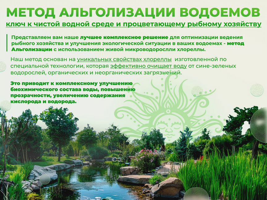 Хлорелла для прудов