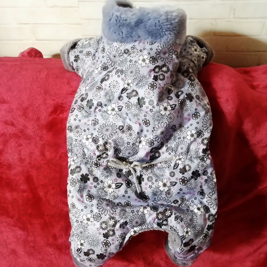 Одежда для маленьких собак