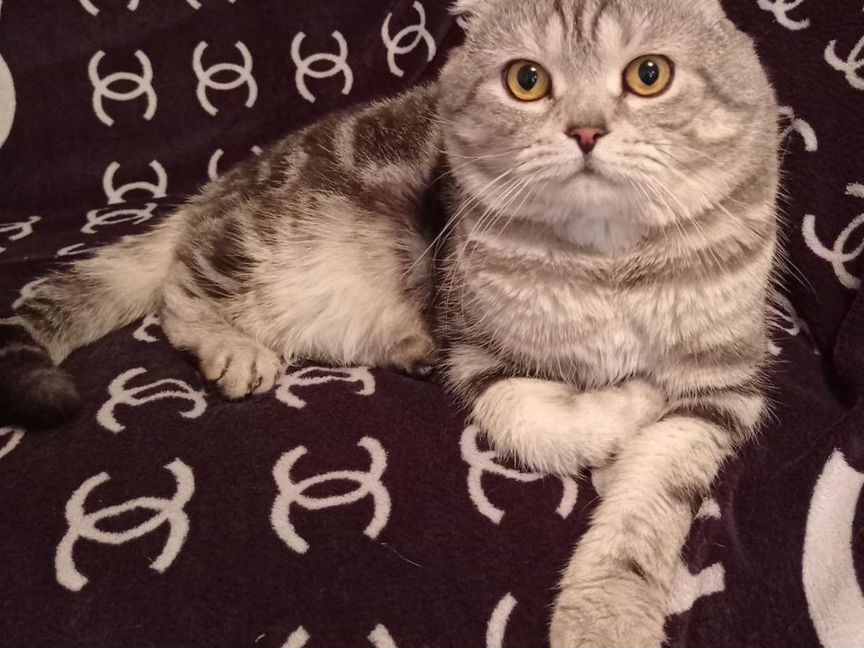 Ищем невесту