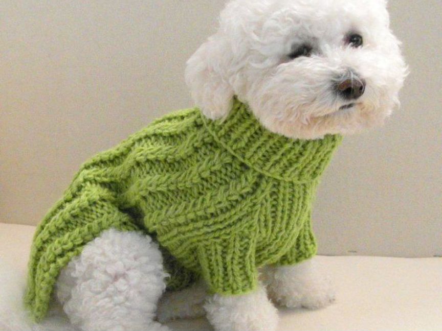 Одежда для собак,носки,варежки