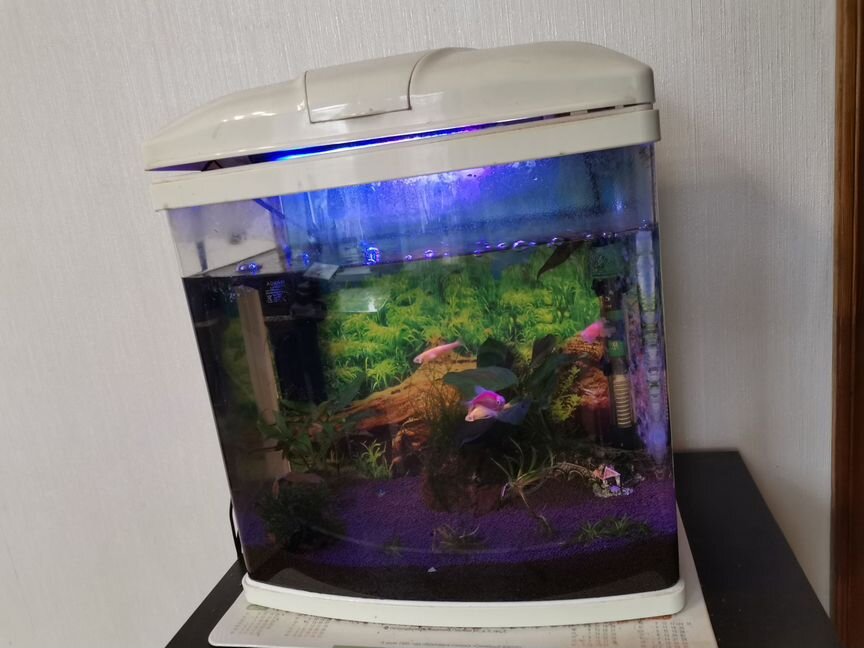 Аквариум готовый 35 литров