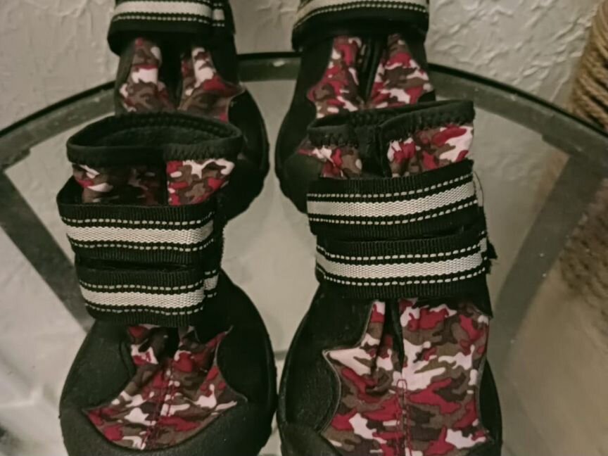 Обувь для крупных собак