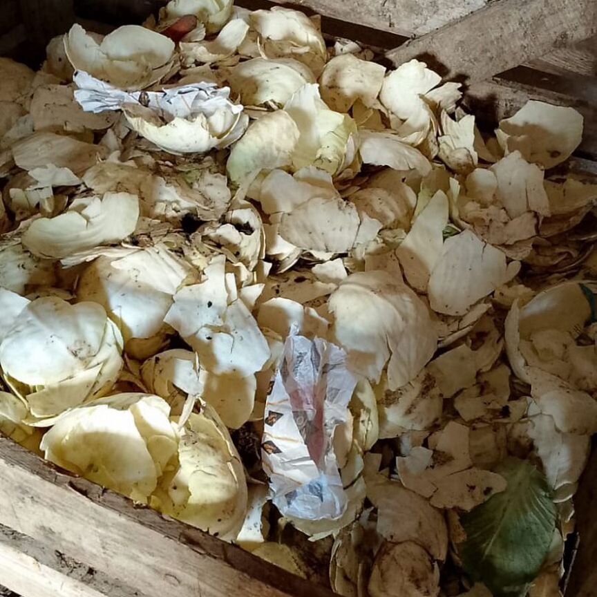 Нестандартные овощи, корм для животных