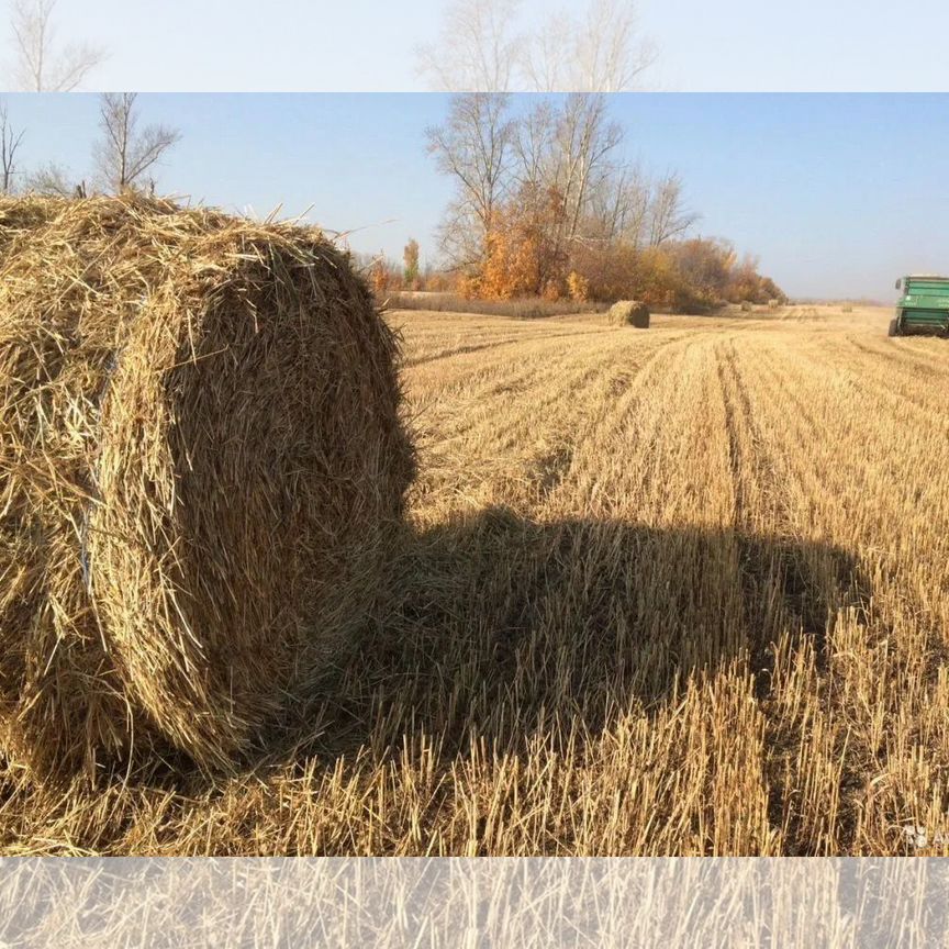 Солома в рулонах