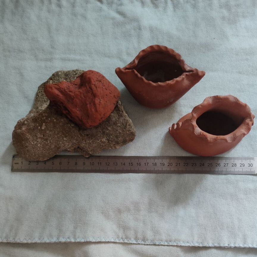 Ракушки для аквариума