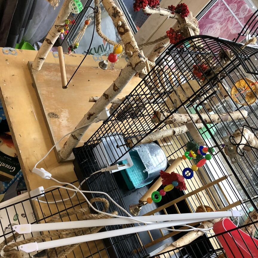 Большая клетка для птиц