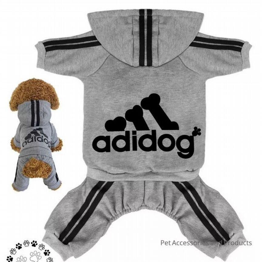 Спортивный костюм для собаки