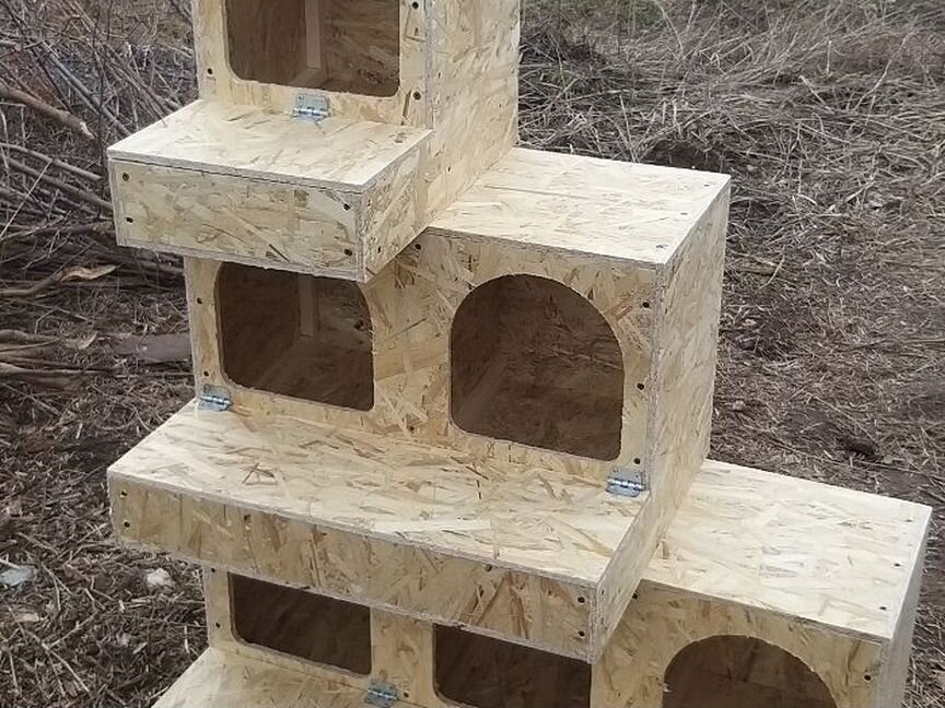 Гнездо для кур с яйцесборником