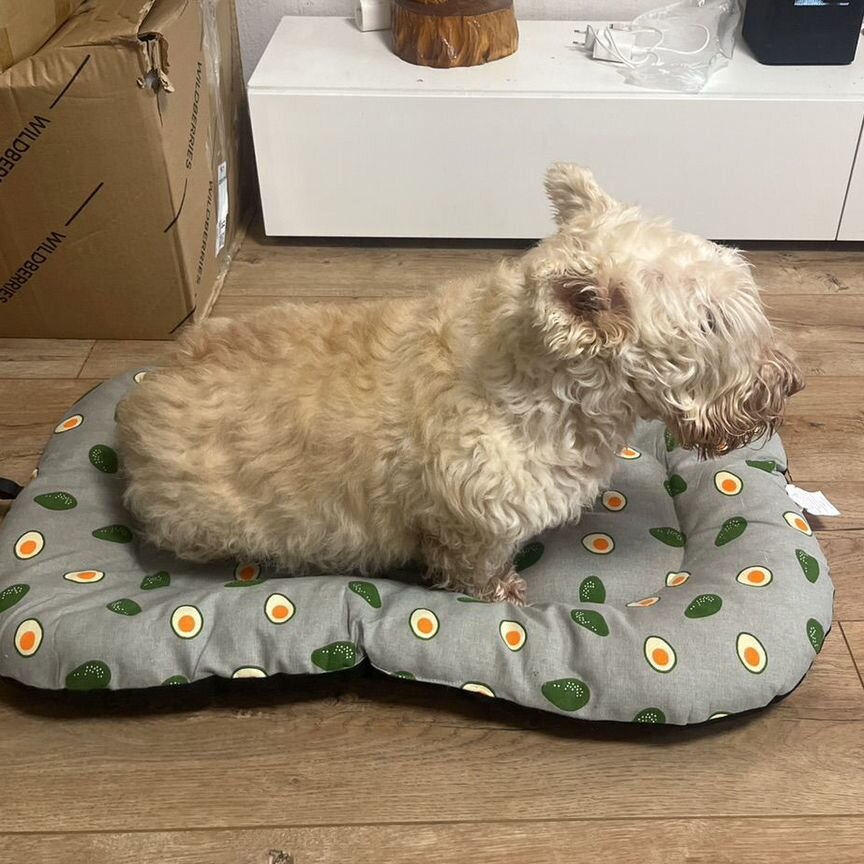 Лежанка для собак и для кошек 80*50*5 см