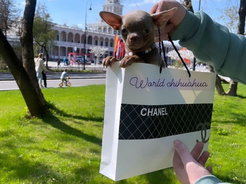 Лиловый Супер Мальчишка