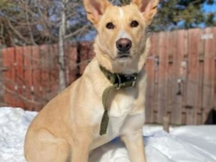 Помогите волонтеру нужна авто помощь