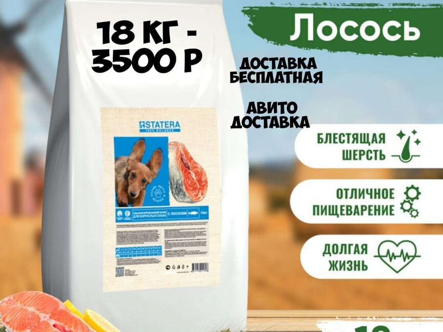 Статера Statera корм для собак с лососем с рыбой