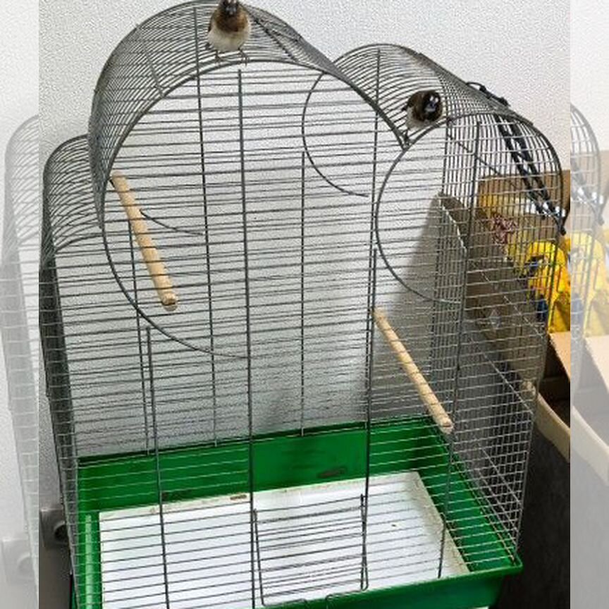Клетка для попугая большая