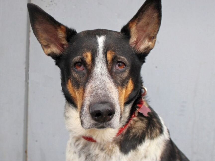 Умная, добрая, открытая