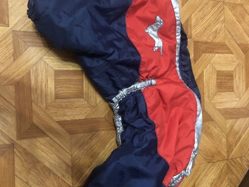 Костюм для таксы