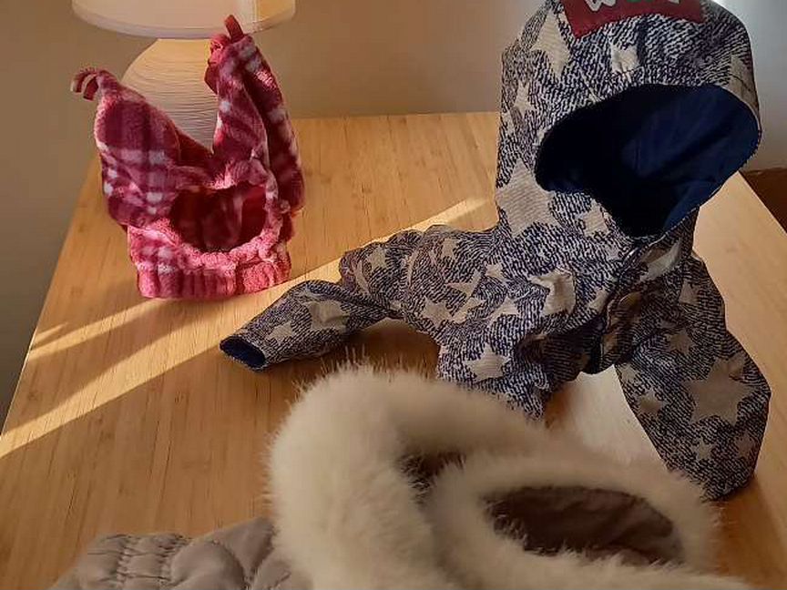 Комбинезон для маленькой собаки дождевик шапка