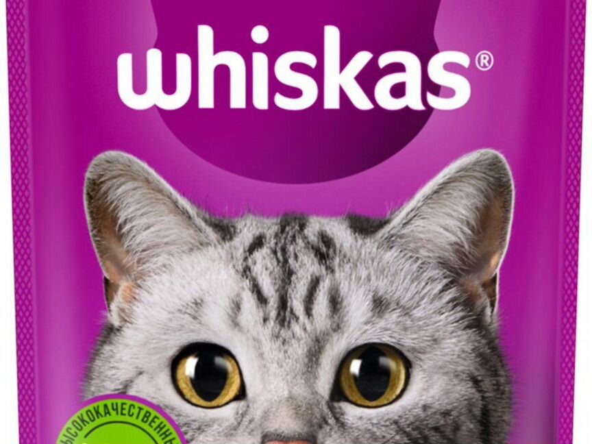 Корм для кошек, собак, влажный сухой