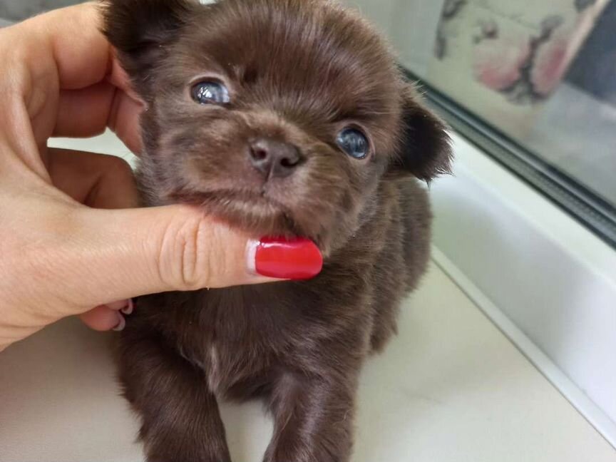 Мальчик-космос