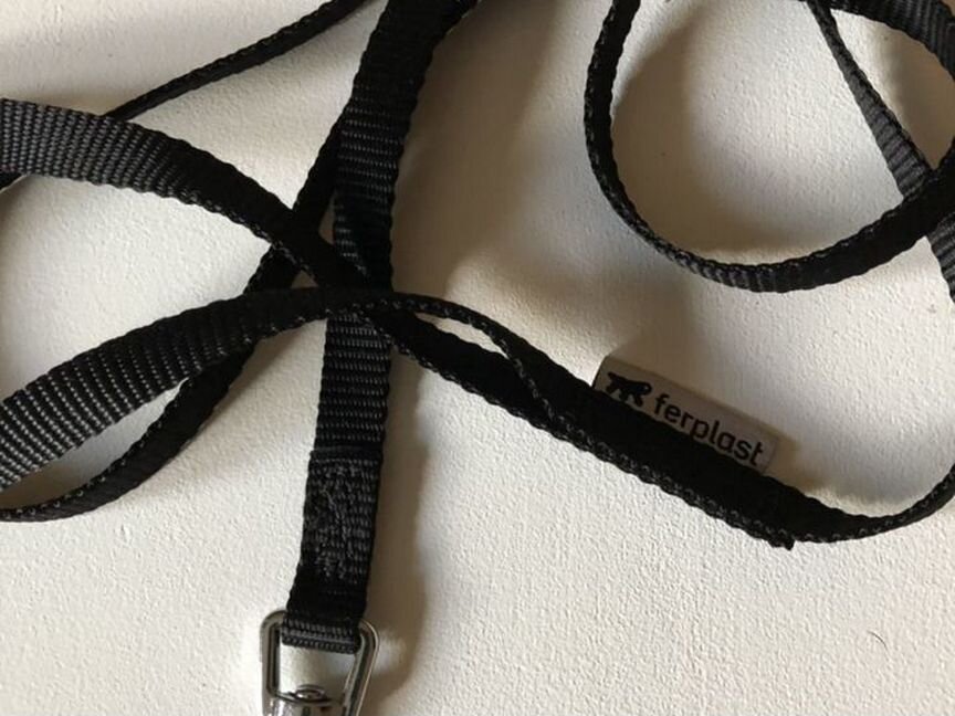 Поводок и ошейник для собак Ferplast