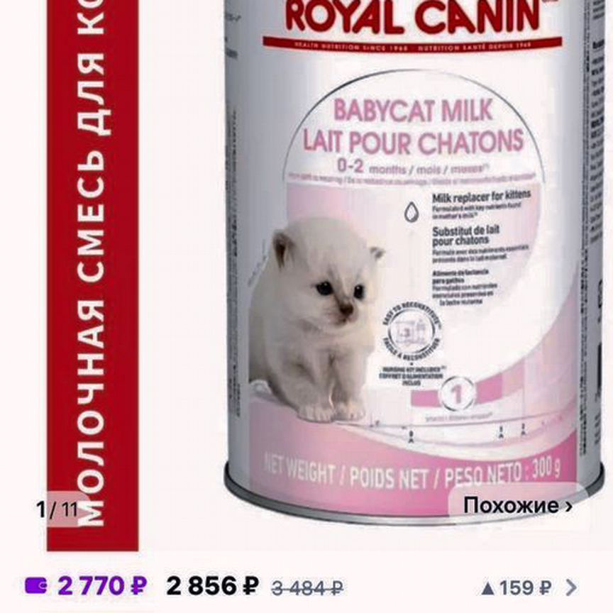 Сухое молоко для котят