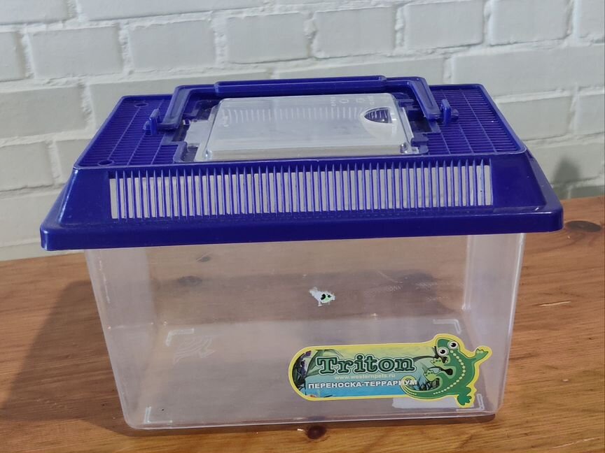 Контейнер - переноска для рыбок и земноводных