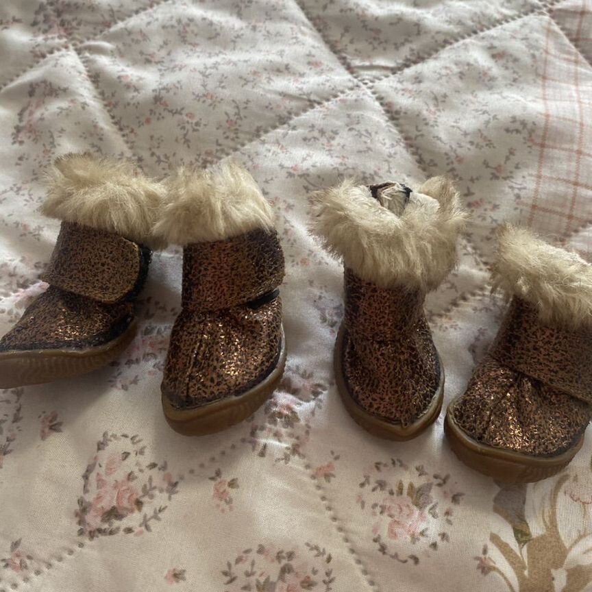 Обувь для маленьких собак