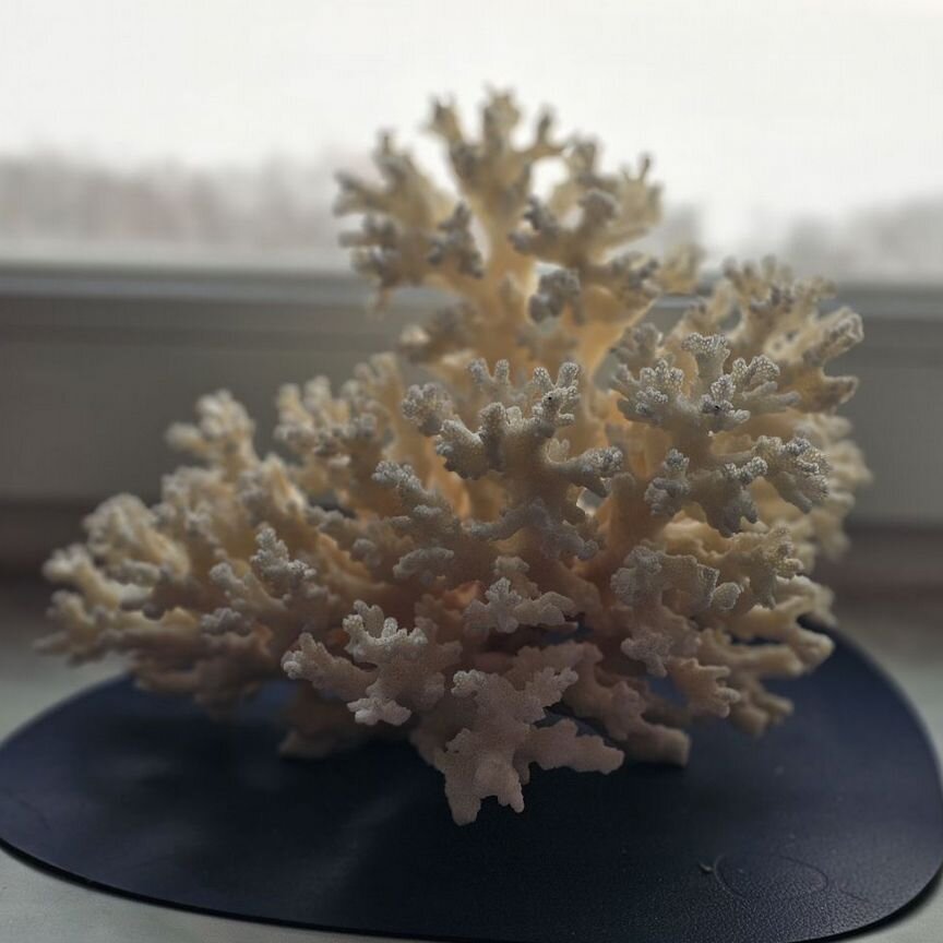 Коралл для аквариума или декора 19/20/23 см