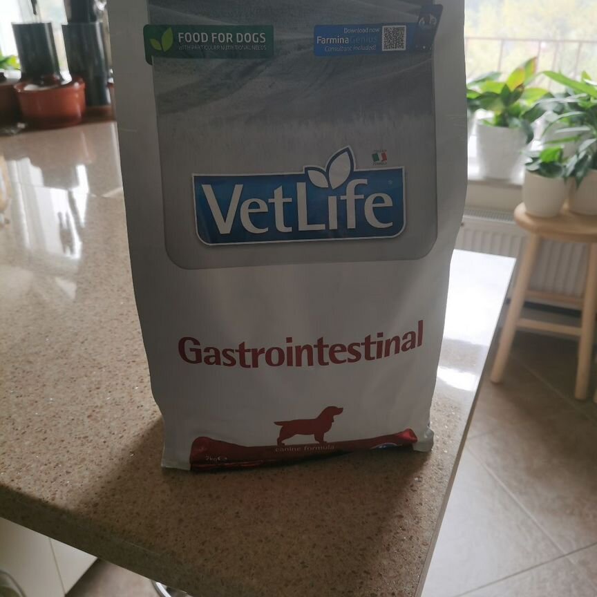 Корм для собак