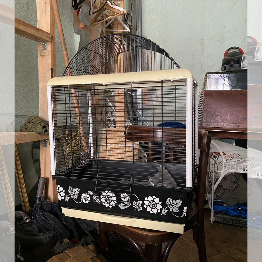 Клетка для птиц