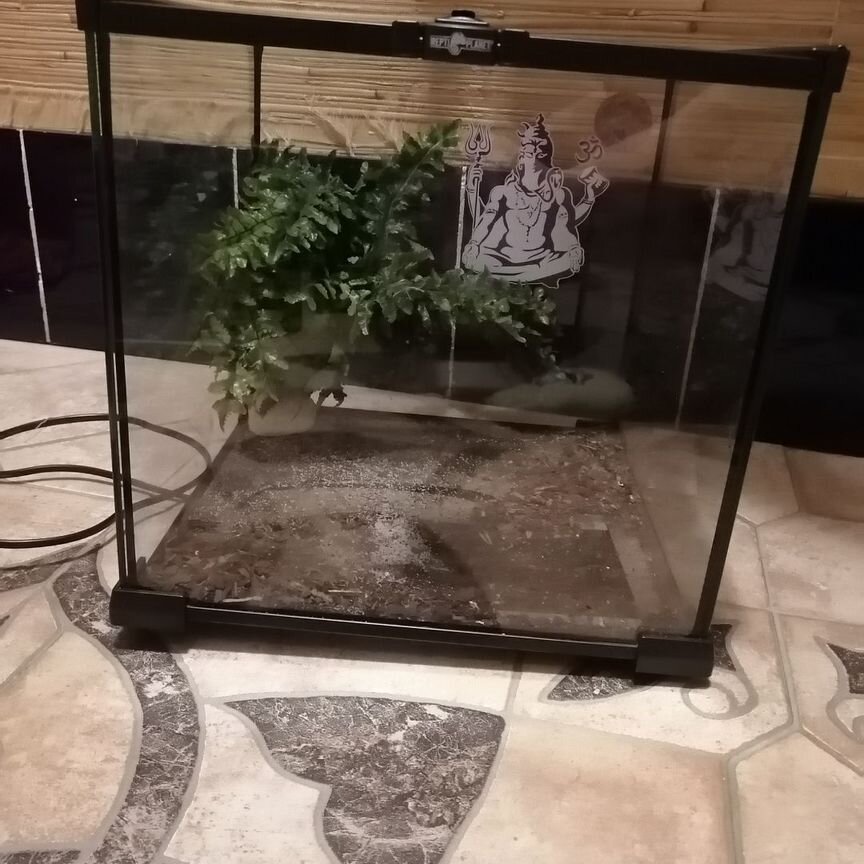 Террариум для рептилий бу