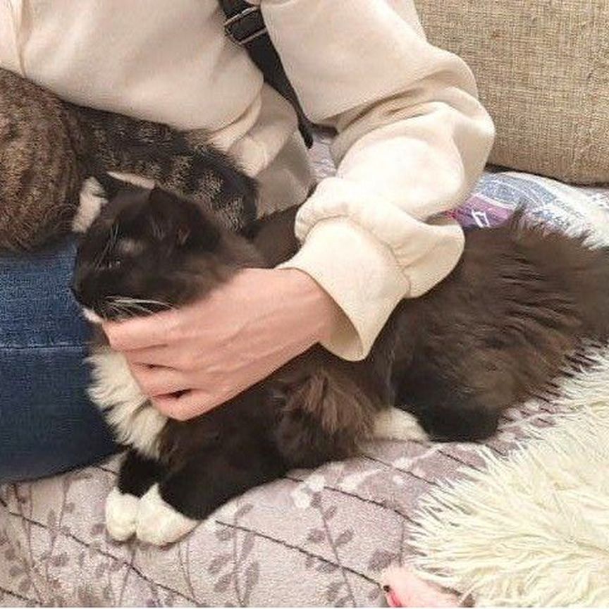 Красивый