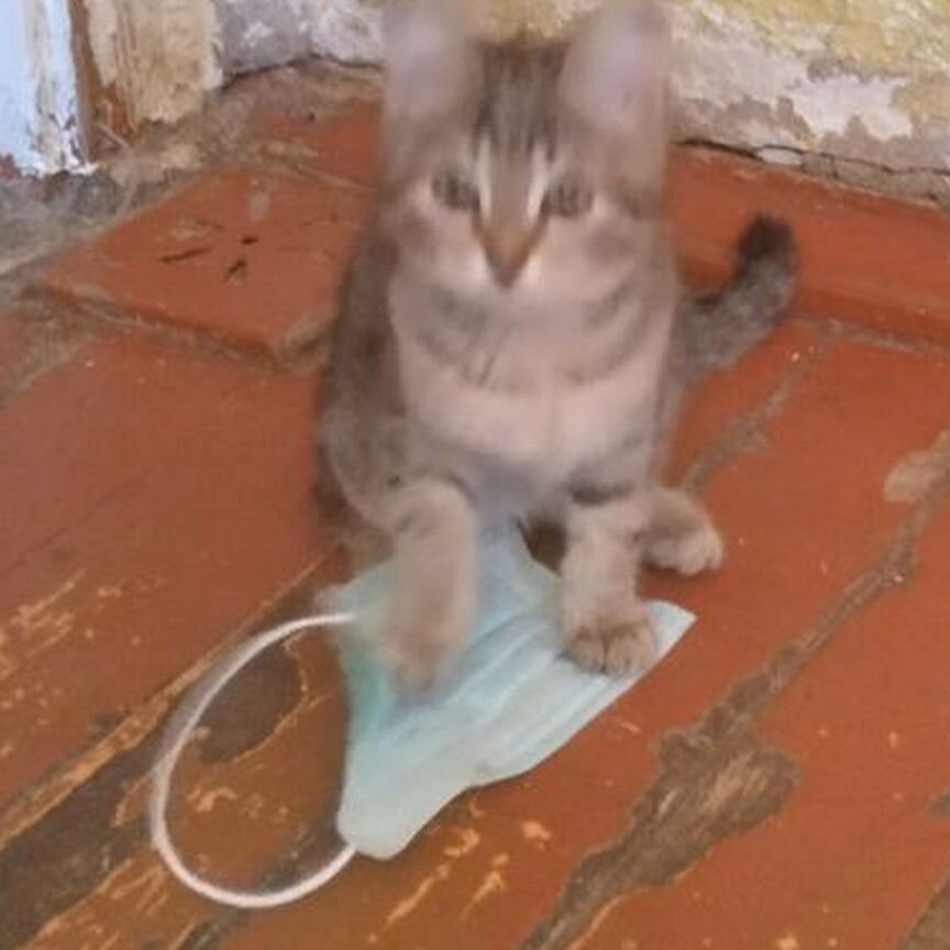 Отдам это чудесное дитя