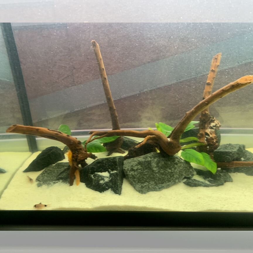 Коряги для аквариума, террариума