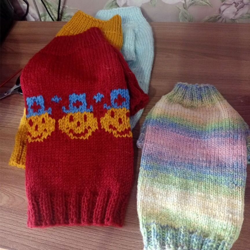 Свитера и шапочки для мелких пород собак и кошек