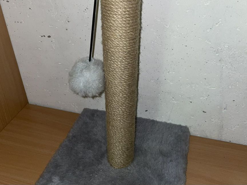 Когтеточка для котенка